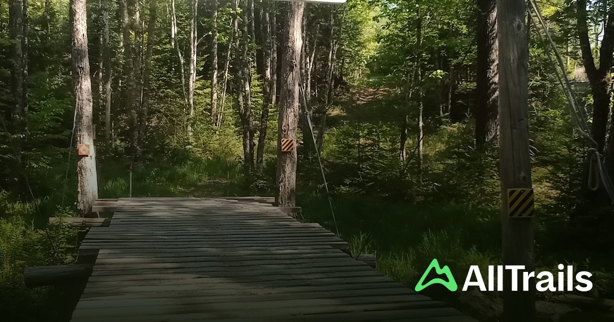 Best forest trails in Goose River Peace Corps Preserve | AllTrails