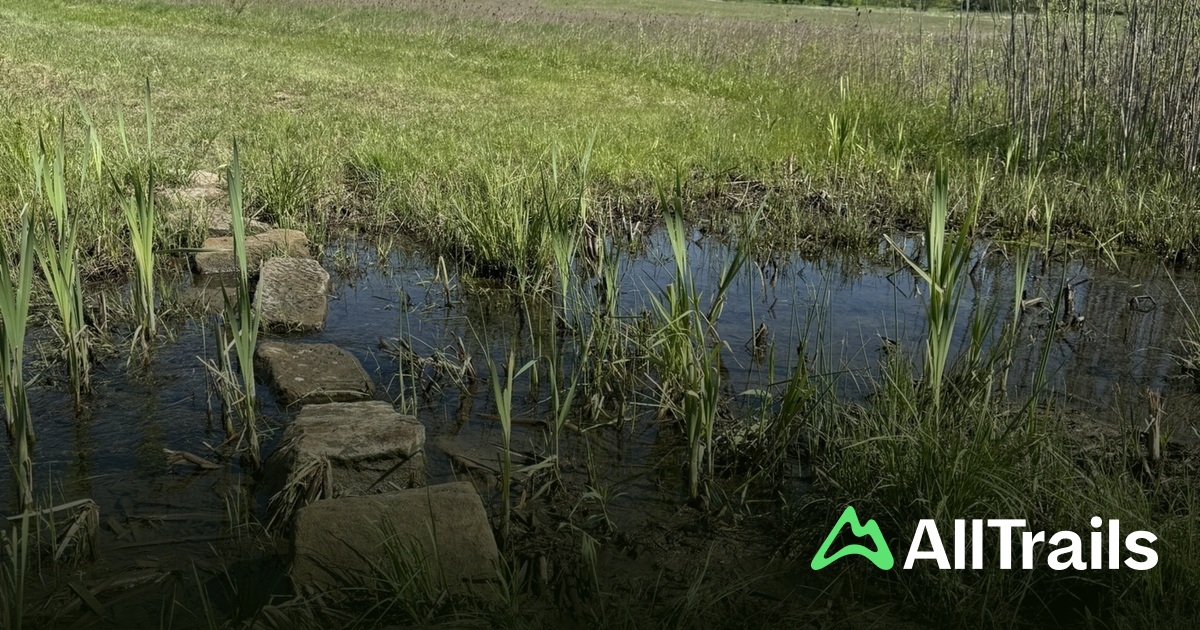 Best hikes and trails in Pike Ridge Park | AllTrails