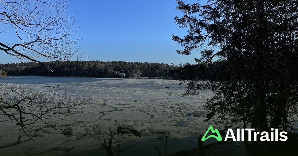 Best forest trails in Schiller Coastal Studies Center | AllTrails