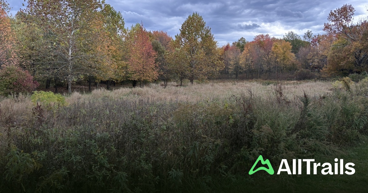 Best hikes and trails in Hanover Meadows Park | AllTrails
