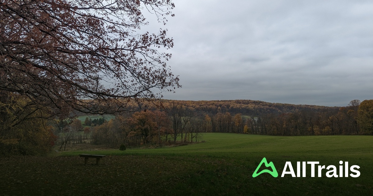 Best forest trails in Thomas P. Bentley Nature Preserve | AllTrails