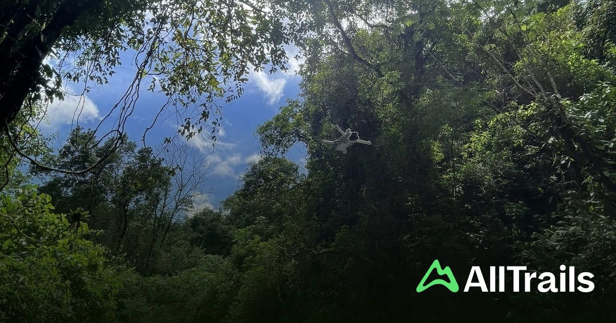 Best river trails in Parque Nacional Cerro Hoya | AllTrails