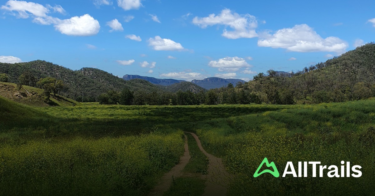Best hikes and trails in Capertee National Park | AllTrails