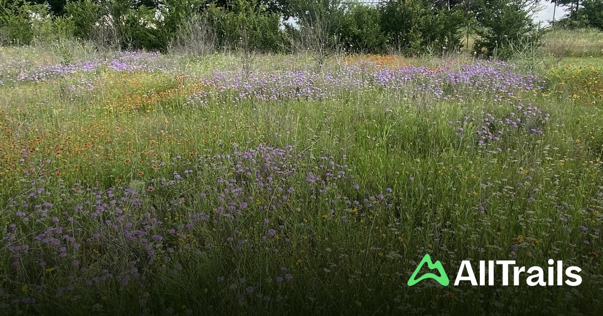 Los mejores senderos y rutas en Haslet Community Park | AllTrails