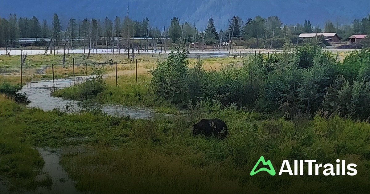 Best hikes and trails in Alaska Wildlife Conservation Center | AllTrails