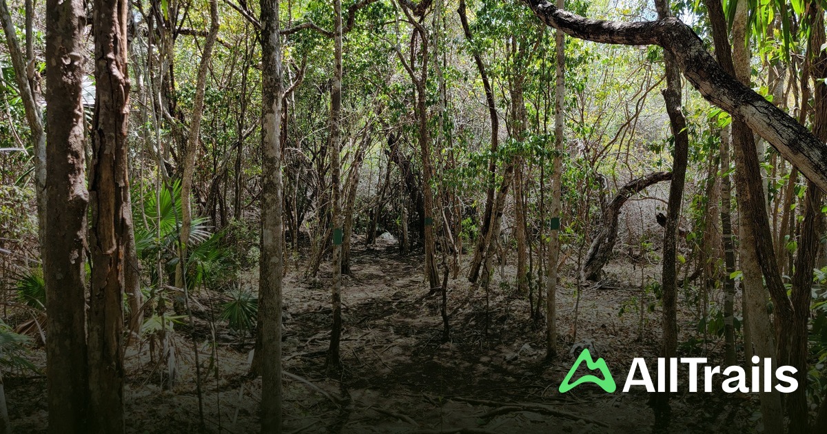 Best hikes and trails in Shipstern Conservation and Management Area ...