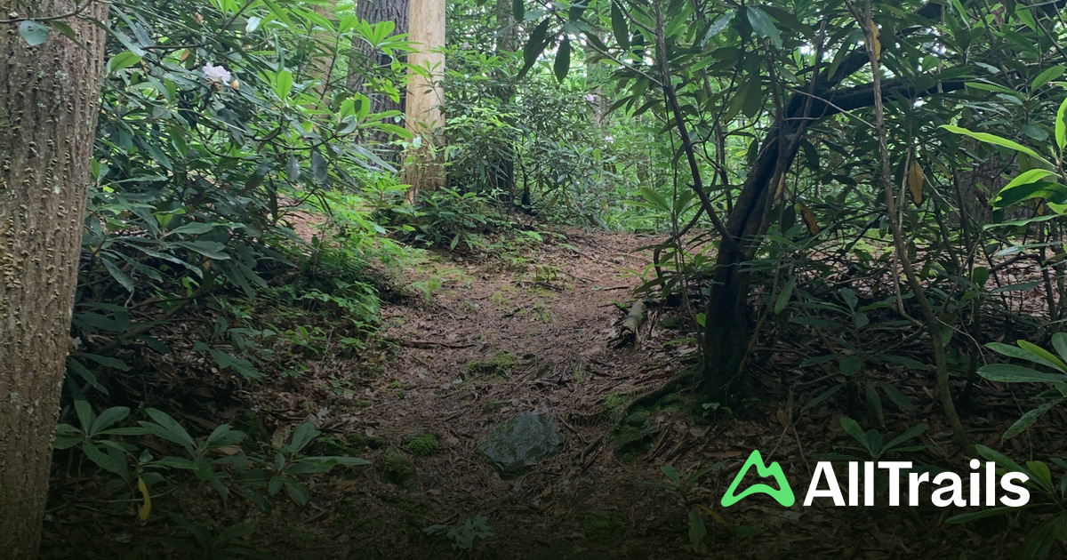 Best hikes and trails in Fires Creek Backcountry Area | AllTrails