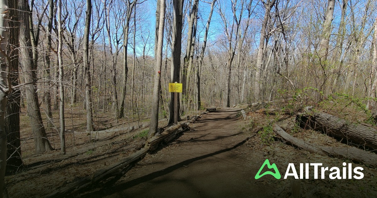 Best walking trails in Alley Pond Park | AllTrails