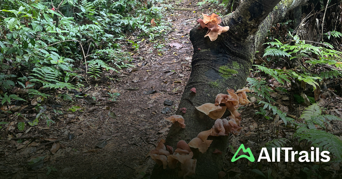 Los mejores senderos con vistas en Área Natural de Manejo Integrado ...
