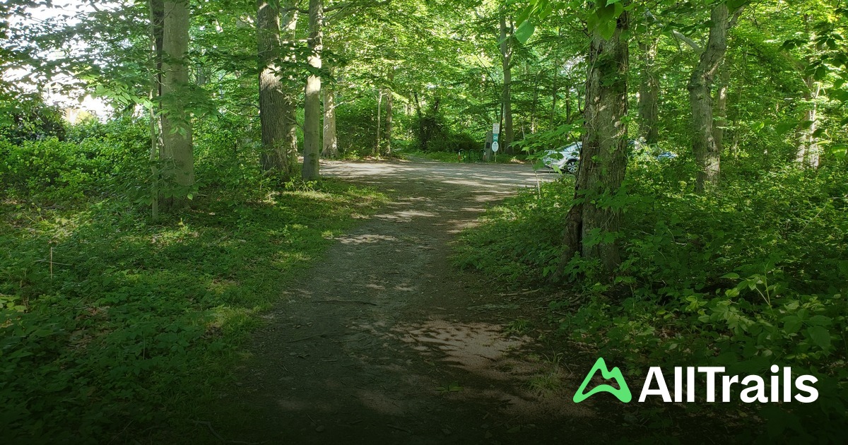 Best hikes and trails in Albro Woods | AllTrails