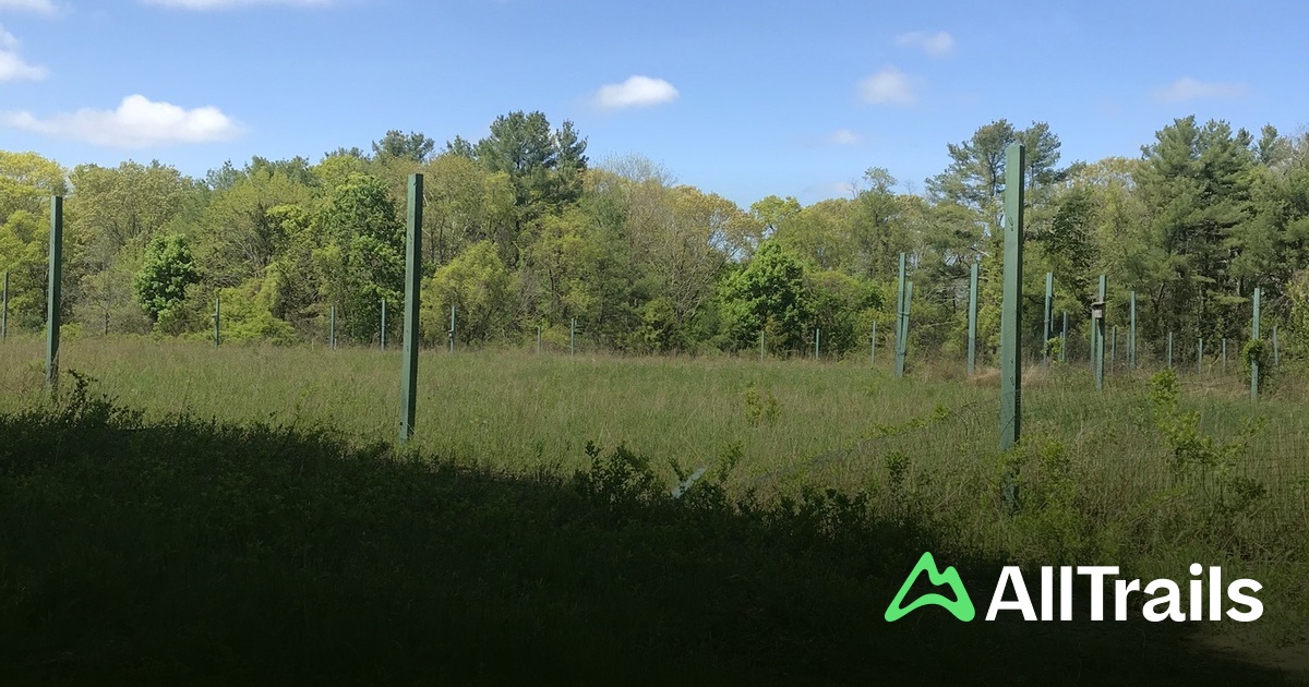 Best forest trails in Crosbie Family Preserve | AllTrails