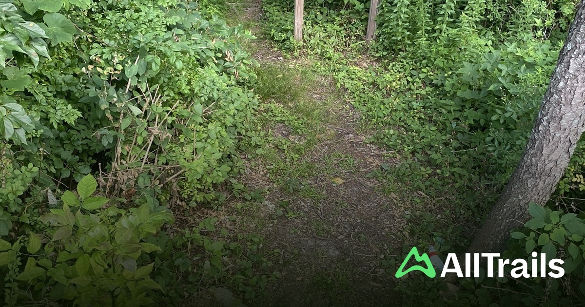 Best hikes and trails in George Ingram Park | AllTrails