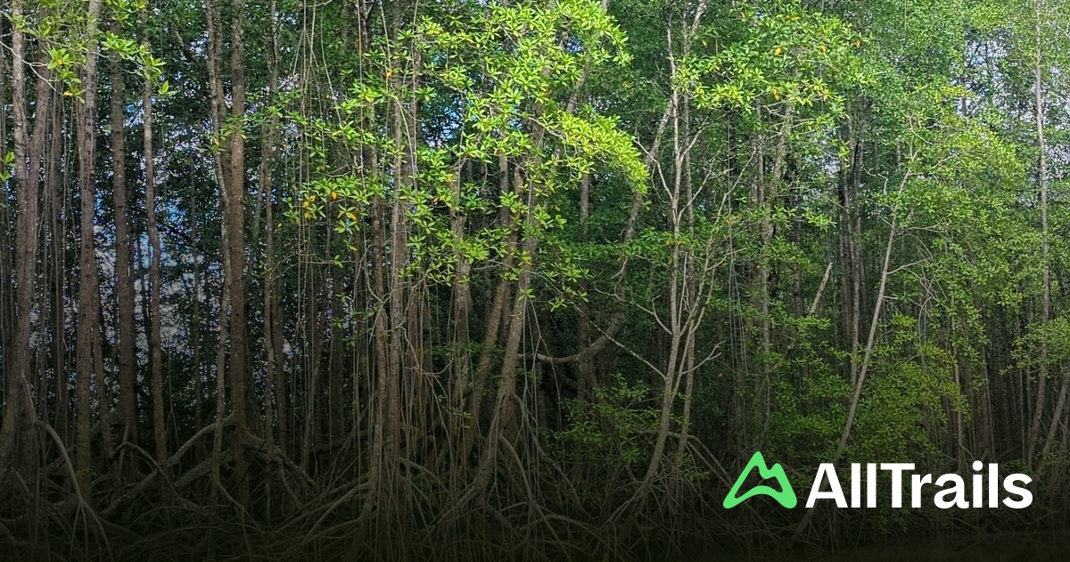 Best hikes and trails in Humedal Nacional Térraba Sierpe | AllTrails