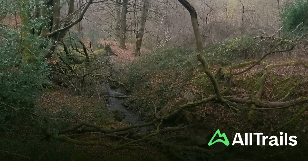 Best hikes and trails in RSPB Coombes Valley | AllTrails