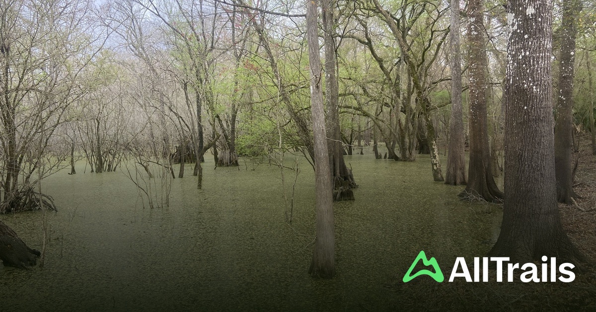 Best hikes and trails in Hart Springs | AllTrails