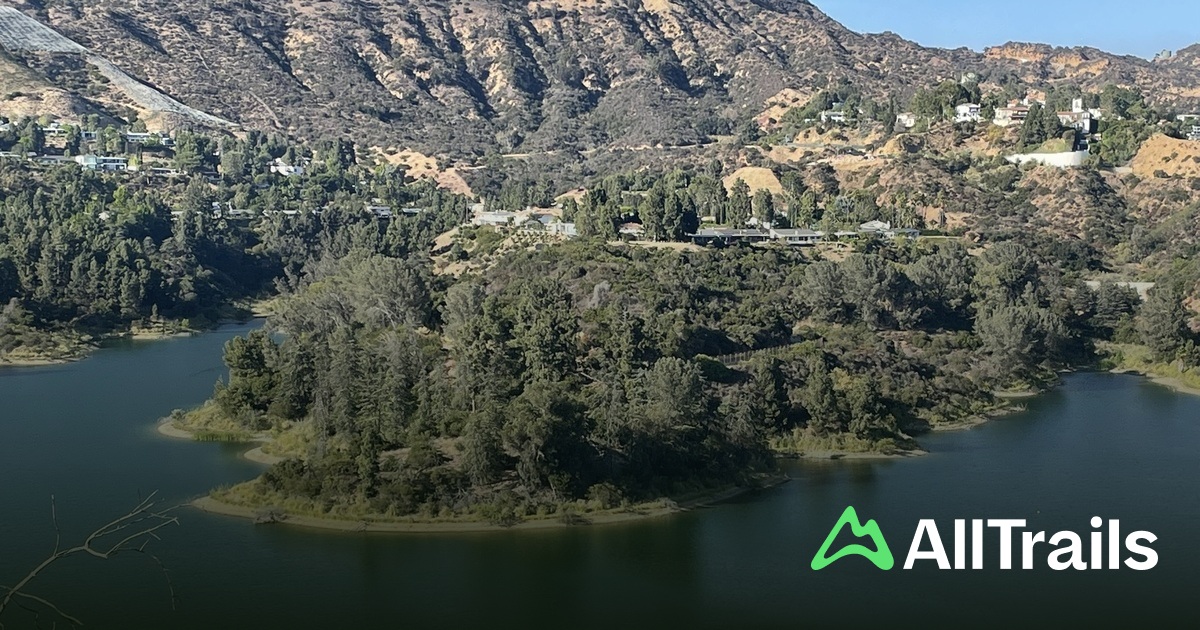 Best forest trails in Lake Hollywood Open Space | AllTrails
