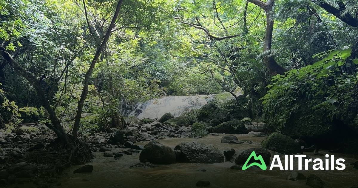 Best hikes and trails in Área Natural Protegida El Balsamar | AllTrails