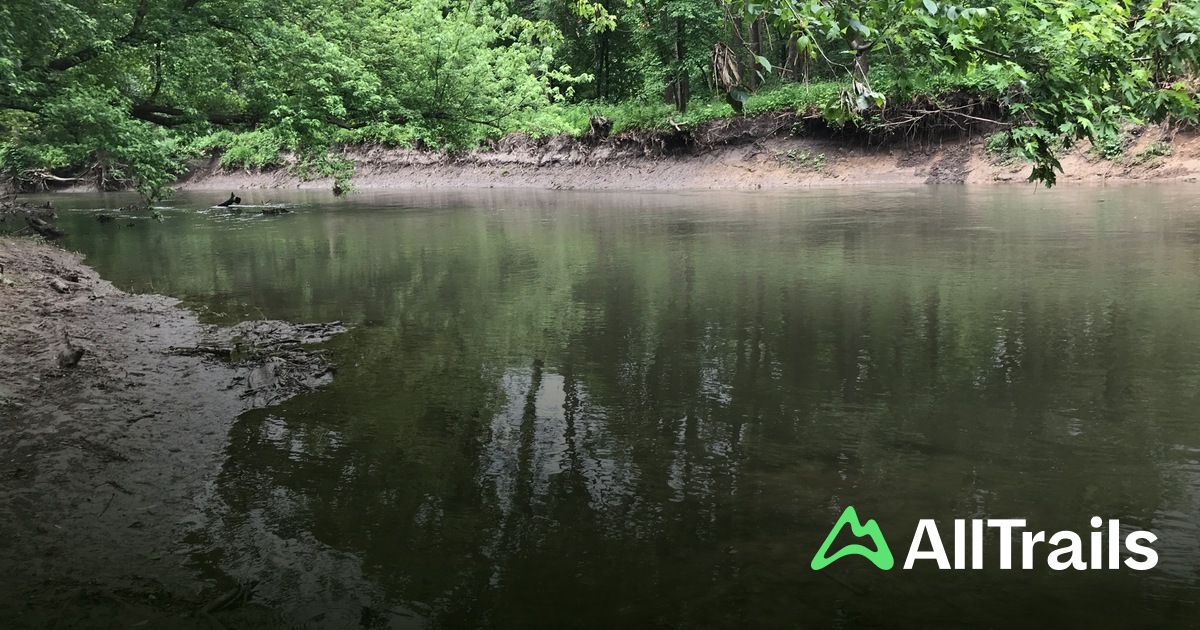 Best forest trails in ParkLands Merwin Savannah Nature Preserve | AllTrails