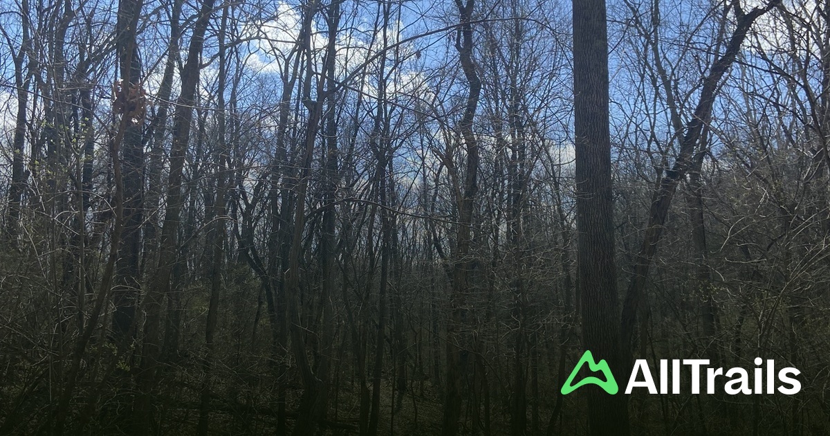 Best easy trails in Clingman Park | AllTrails