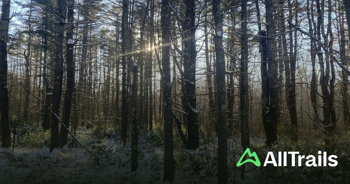 Best hikes and trails in Harrington Preserve | AllTrails