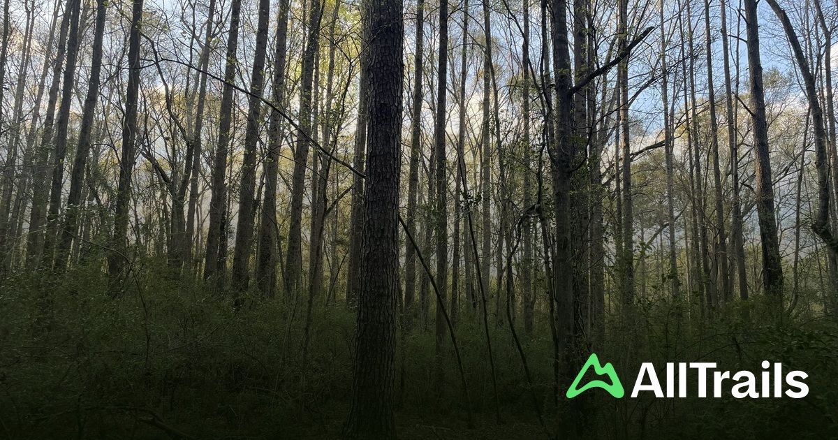 Best hikes and trails in Virginia Callaway-Cofer Walker Park | AllTrails