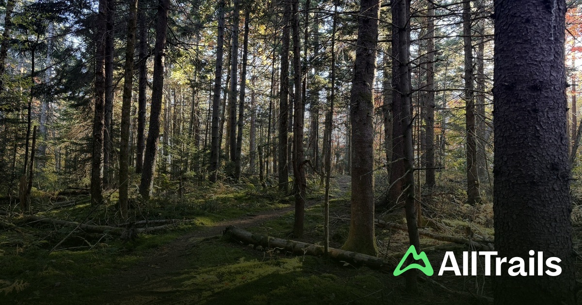 Best trail running trails in Hogback Mountain Conservation Area | AllTrails