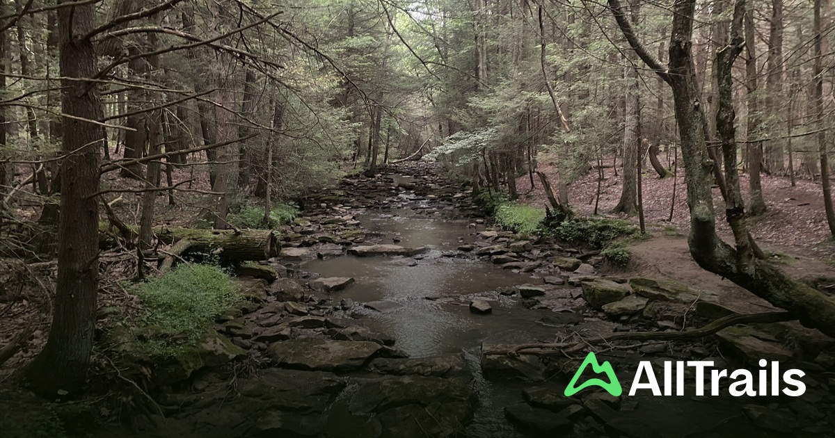 Melhores trilhos e caminhadas em Kimberly Run Natural Area | AllTrails