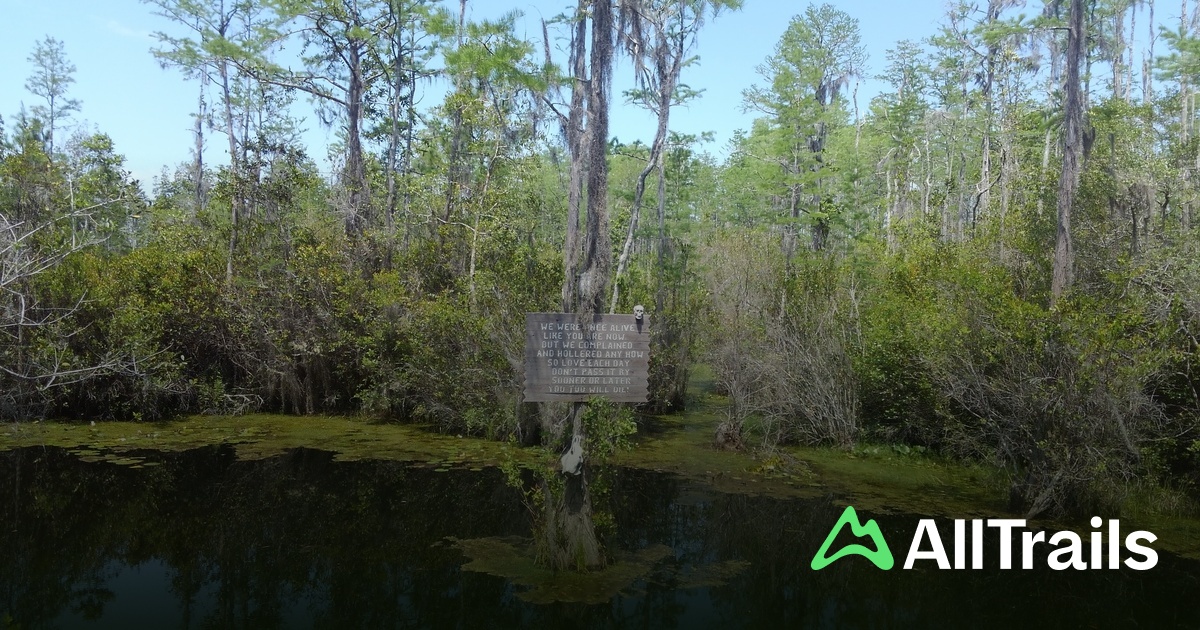 Best hikes and trails in Okefenokee Swamp Park | AllTrails