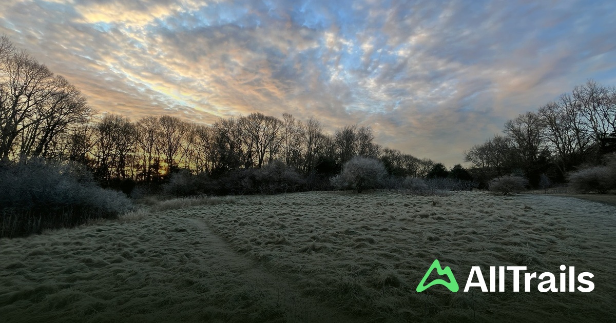 Best hikes and trails in Ryan Park | AllTrails