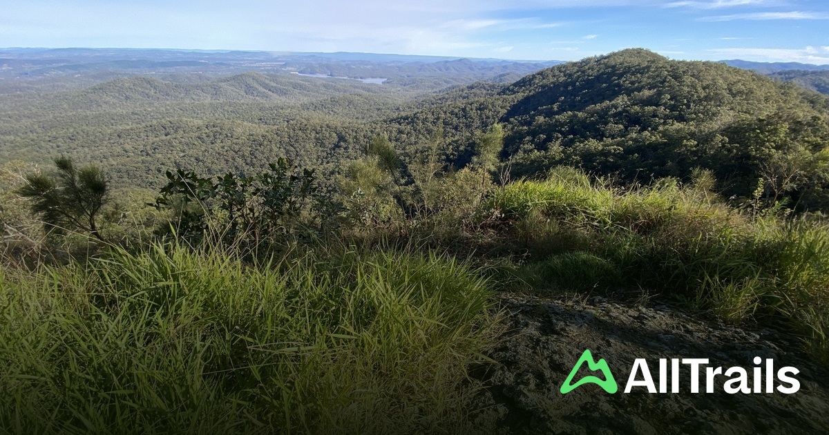 Best hikes and trails in Kholo Bushland Reserve | AllTrails