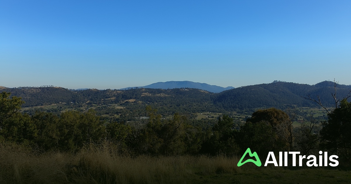 Best hikes and trails in Single Hill Bush Reserve | AllTrails