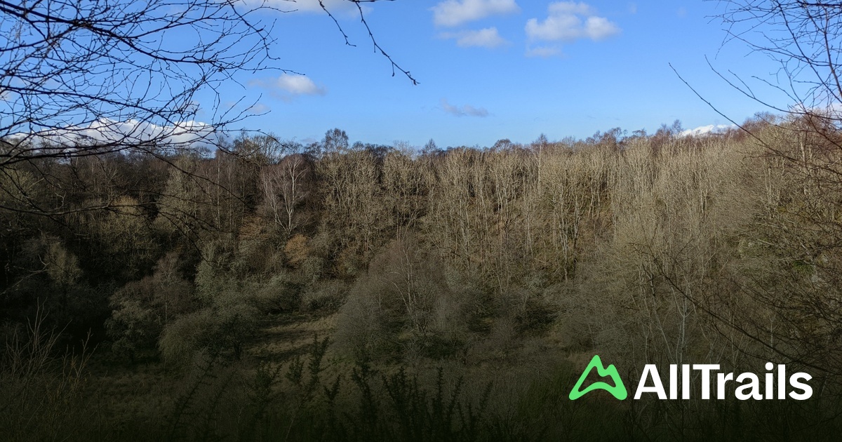 Best walking trails in Almondell and Calderwood Country Park | AllTrails