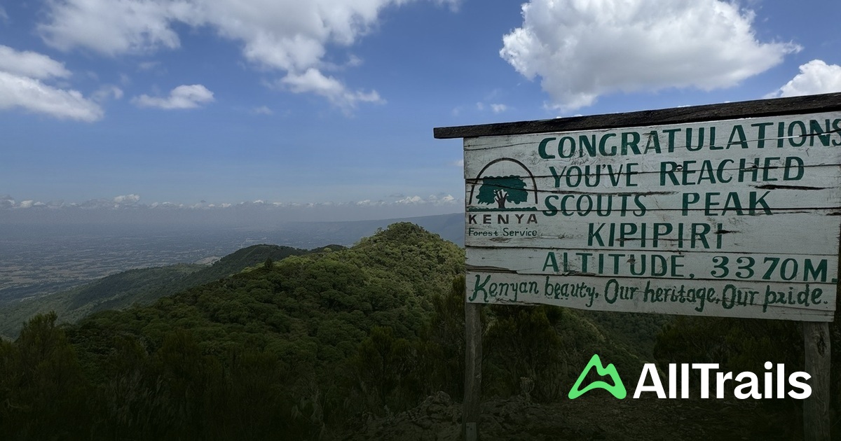 Best hikes and trails in Mount Kipipiri Forest Reserve | AllTrails
