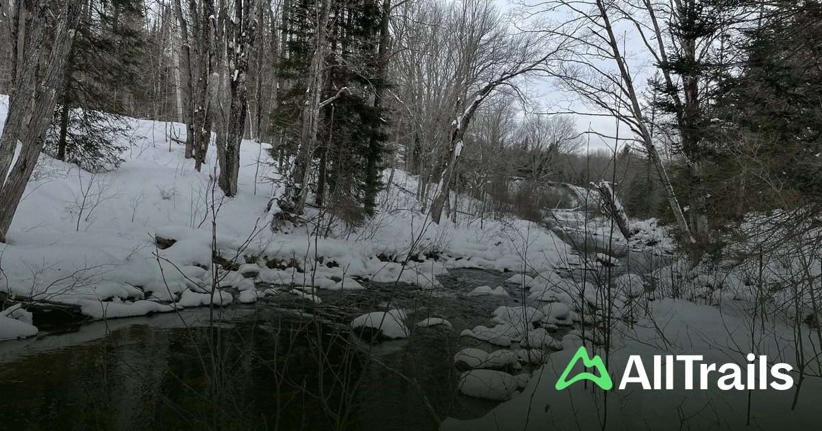 Best hikes and trails in Boundary Road Trails | AllTrails