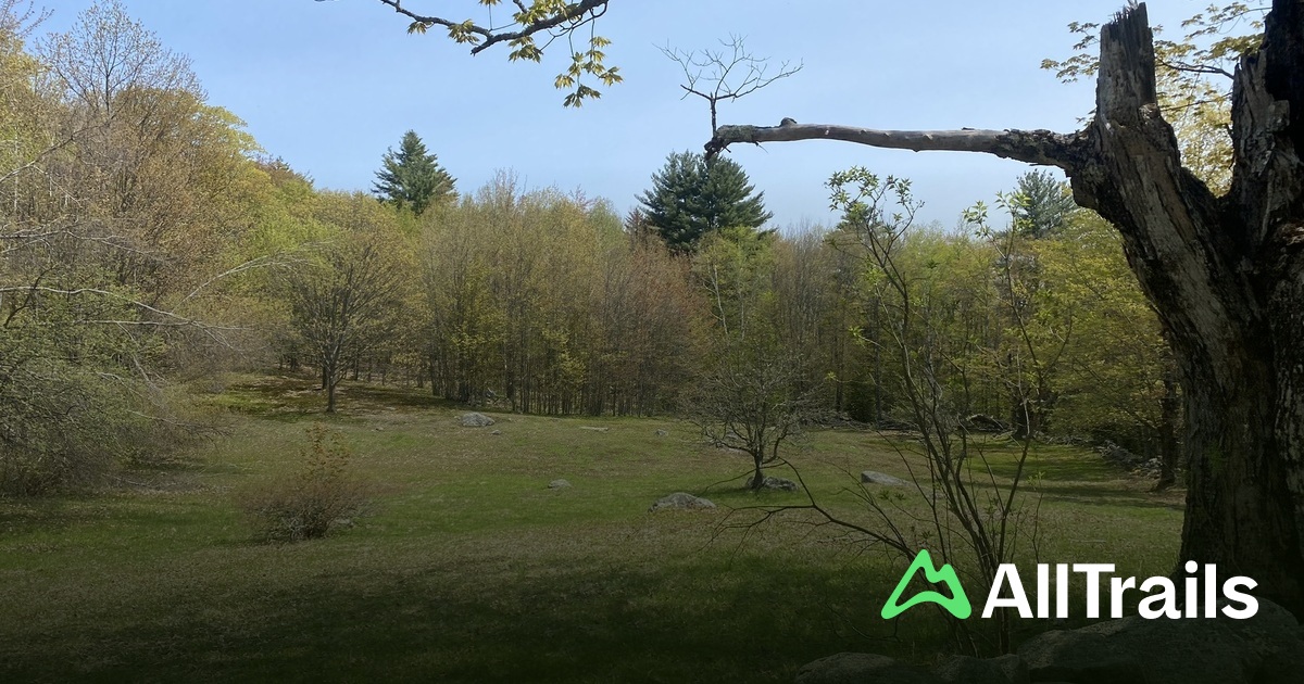 Best forest trails in Webb Forest | AllTrails