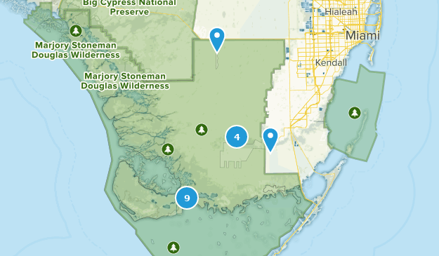Best Bird Watching Trails in Everglades National Park | AllTrails