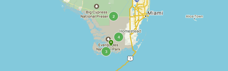 Best 10 Hikes and Trails in Everglades National Park | AllTrails