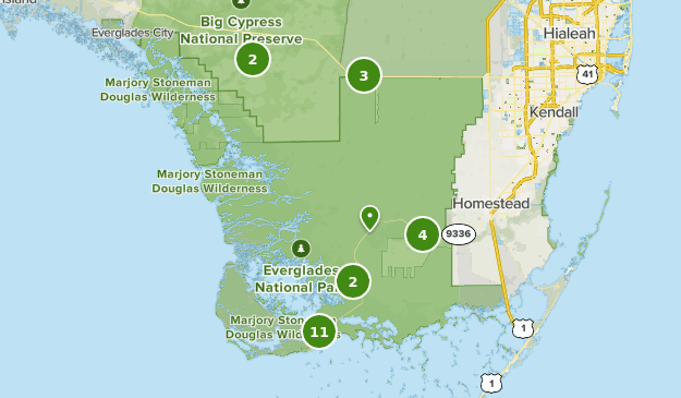 Best Views Trails in Everglades National Park | AllTrails