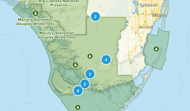 Best Walking Trails in Everglades National Park | AllTrails