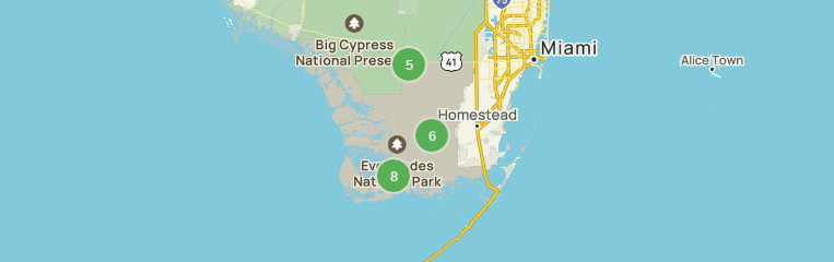 Best 10 Walking Trails in Everglades National Park | AllTrails