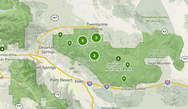 Best Backpacking Trails in Joshua Tree National Park | AllTrails