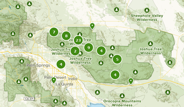 Best Bird Watching Trails in Joshua Tree National Park | AllTrails