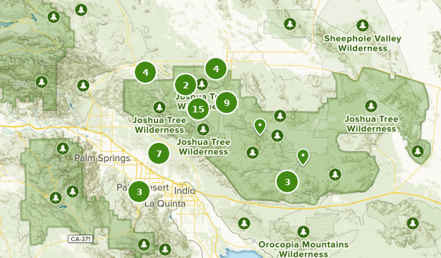 Best Kid Friendly Trails in Joshua Tree National Park | AllTrails