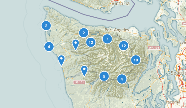 Best Backpacking Trails in Olympic National Park | AllTrails.com