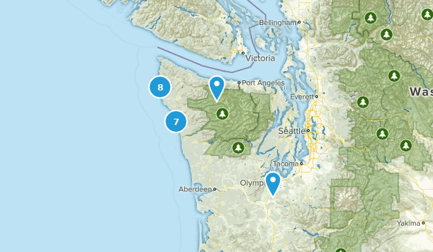 Best Beach Trails in Olympic National Park | AllTrails