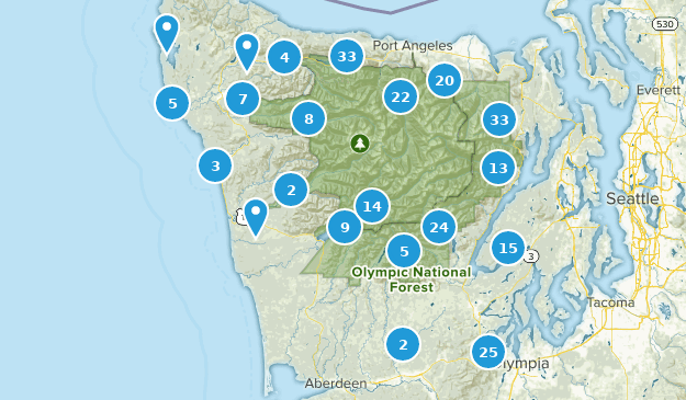 Best Forest Trails in Olympic National Park | AllTrails