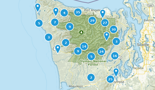 Best Forest Trails in Olympic National Park | AllTrails