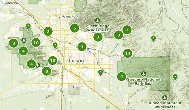 Best Running Trails in Saguaro National Park | AllTrails