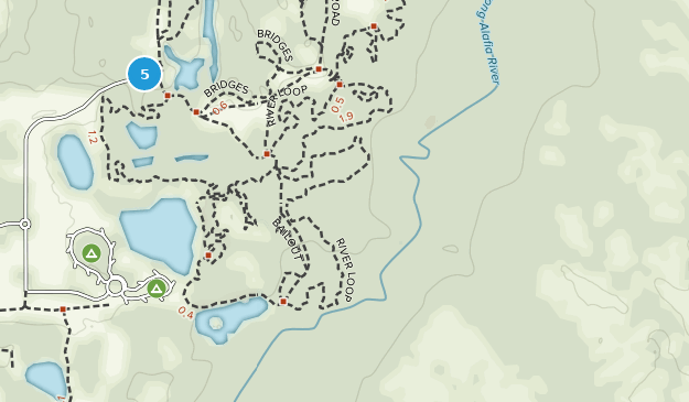 Best Mountain Biking Trails in Alafia River State Park | AllTrails