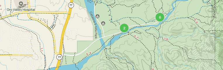 2023 Best Easy Trails in Catalina State Park | AllTrails